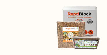 Webshop & Reptielen winkel in Arnhem - Terramania.nl